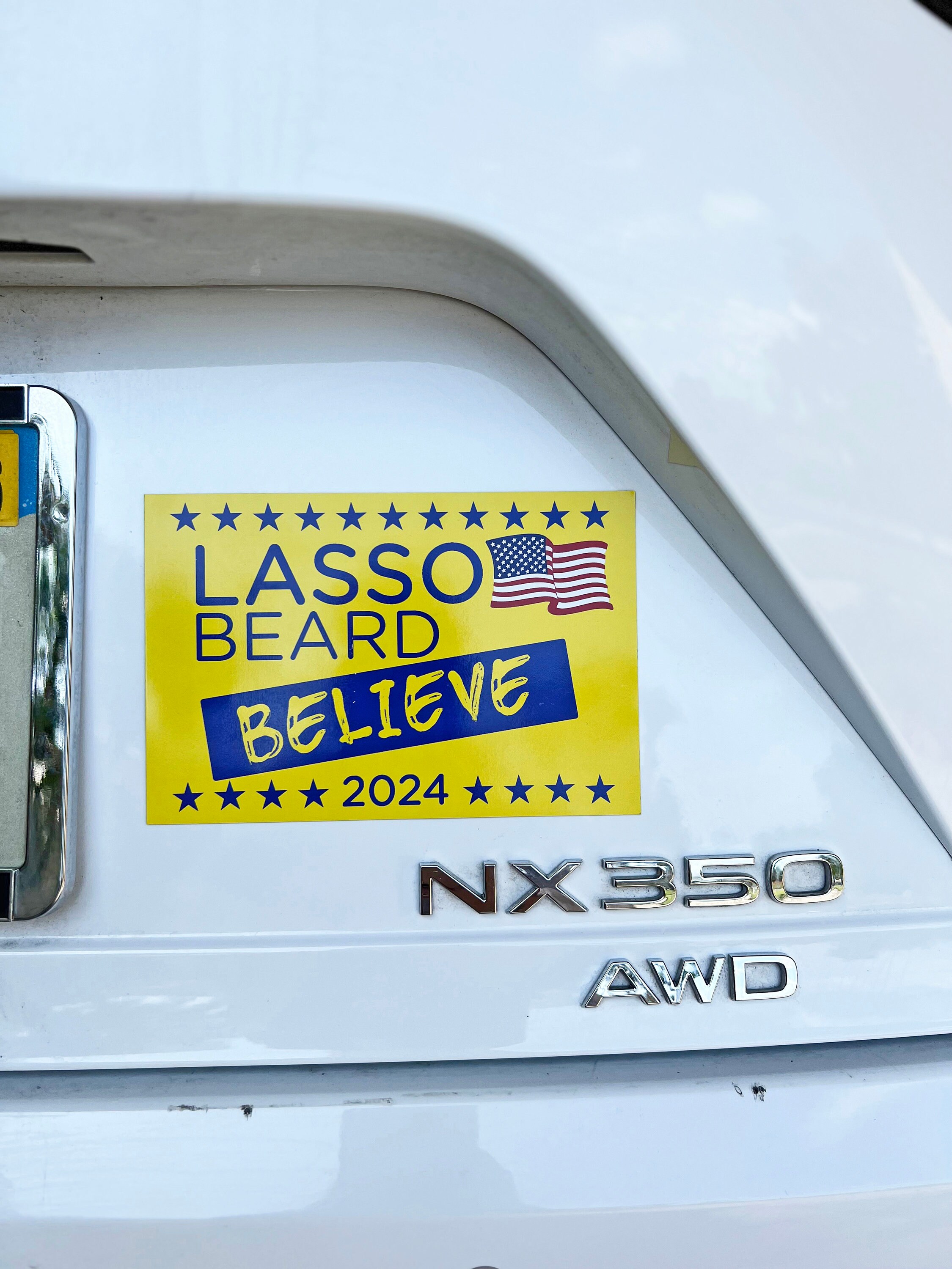 5 Pack of Lasso-beard 2024 Election Magnets for Your Vehicle or ...