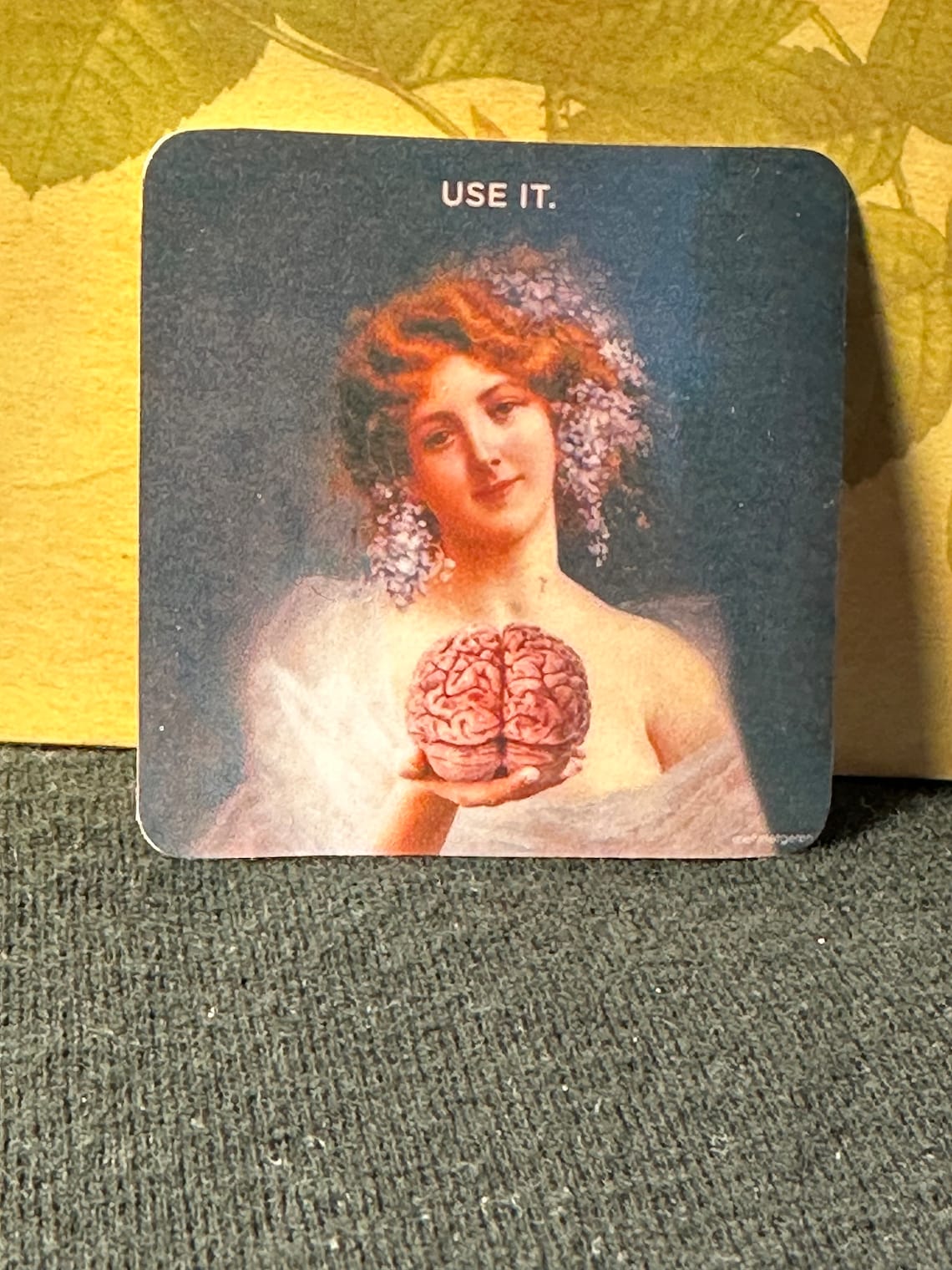 Got a Brain Use It - Etsy
