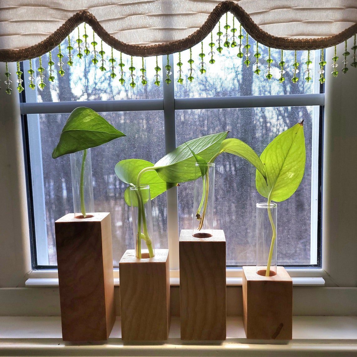 Set of Light Ash Wood Cubes Wit Tubes Plant Starter Propagation Station ...