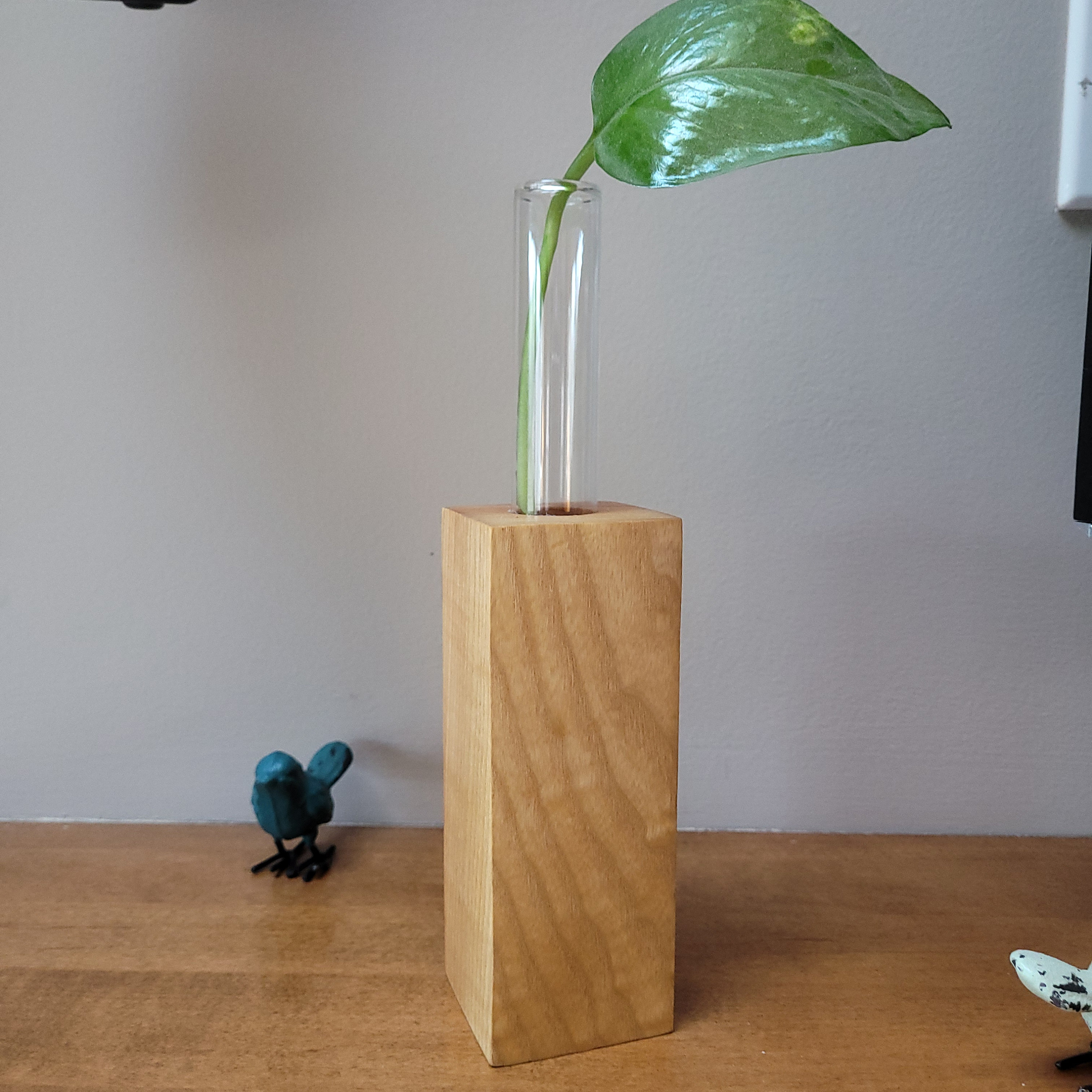 Set of Light Ash Wood Cubes Wit Tubes Plant Starter Propagation Station ...