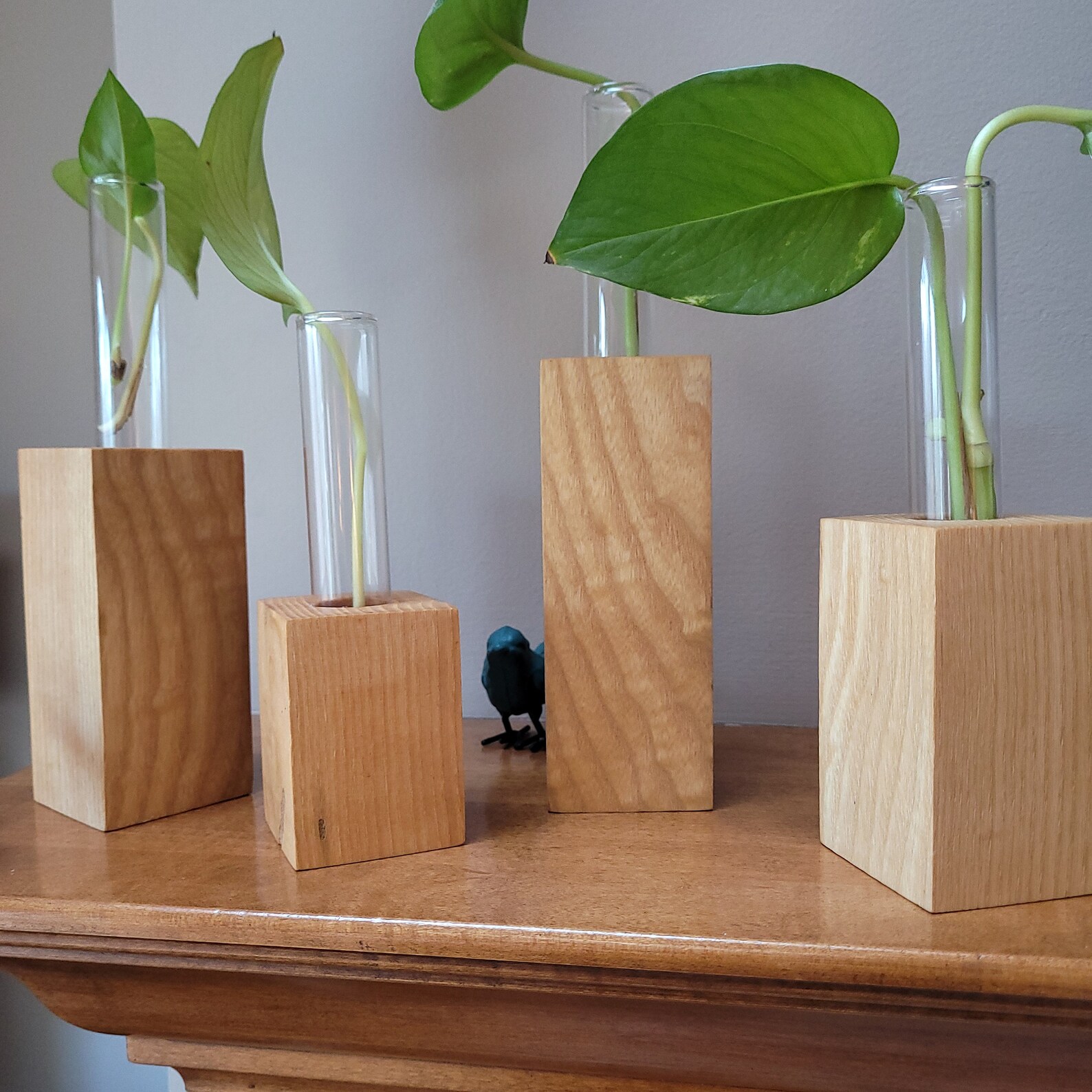 Set of Light Ash Wood Cubes Wit Tubes Plant Starter Propagation Station ...