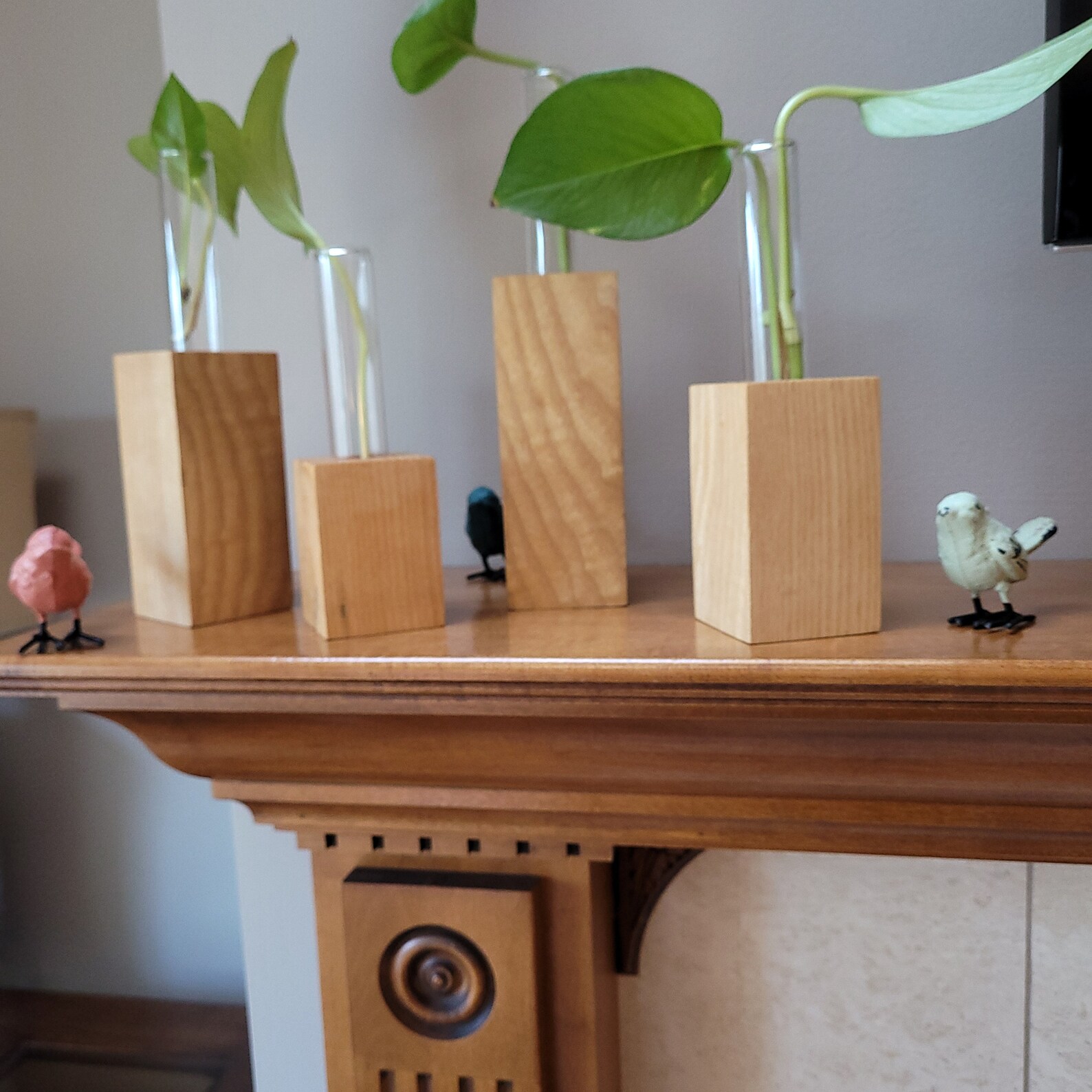 Set of Light Ash Wood Cubes Wit Tubes Plant Starter Propagation Station ...