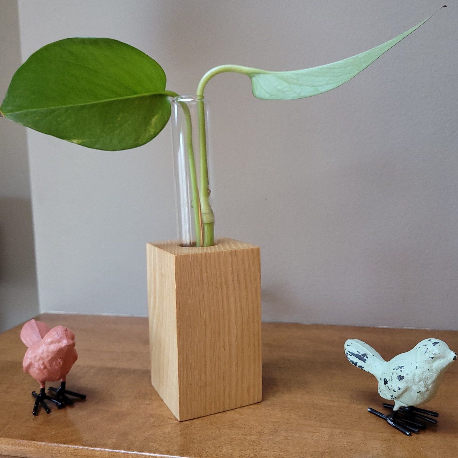 Set of Light Ash Wood Cubes Wit Tubes Plant Starter Propagation Station ...