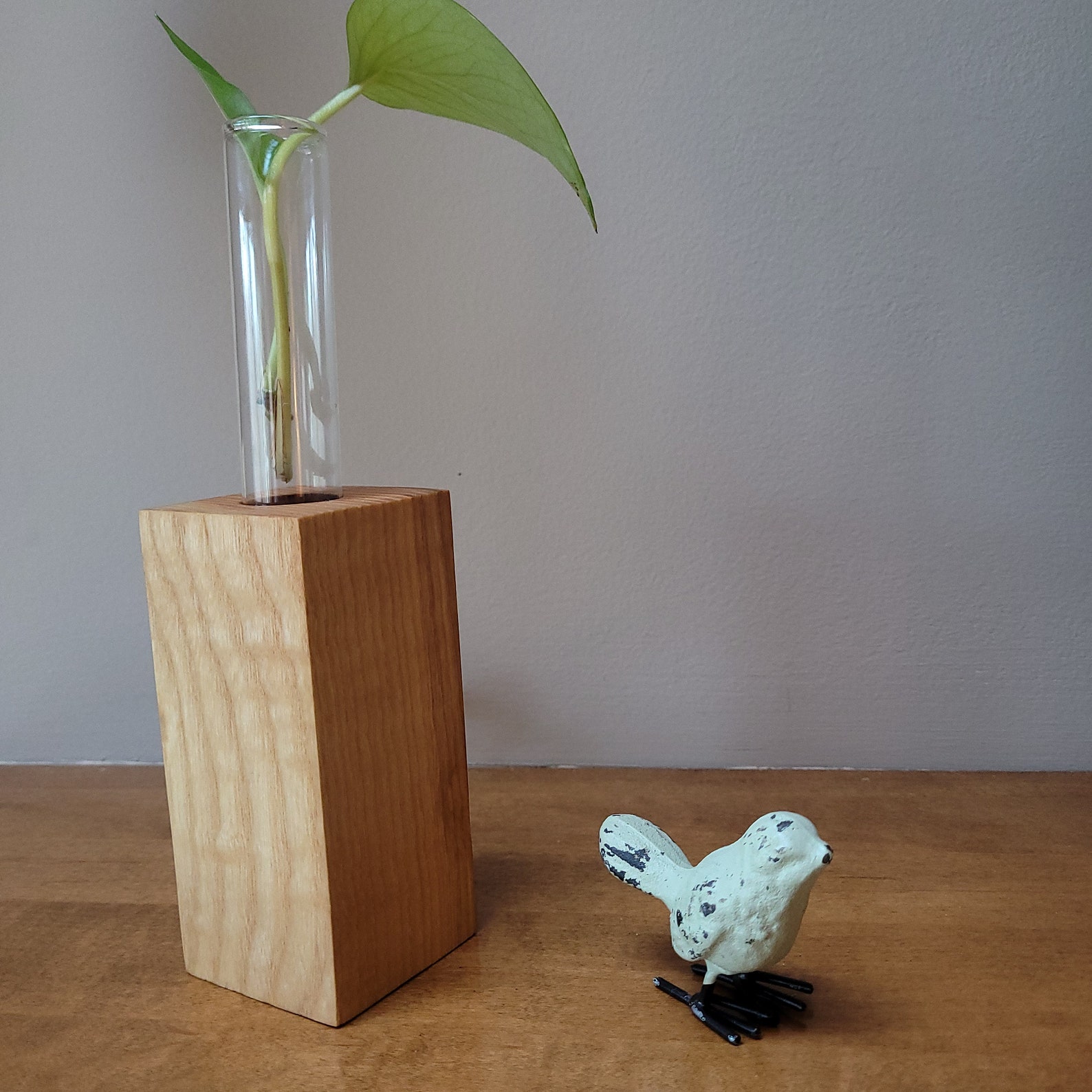 Set of Light Ash Wood Cubes Wit Tubes Plant Starter Propagation Station ...