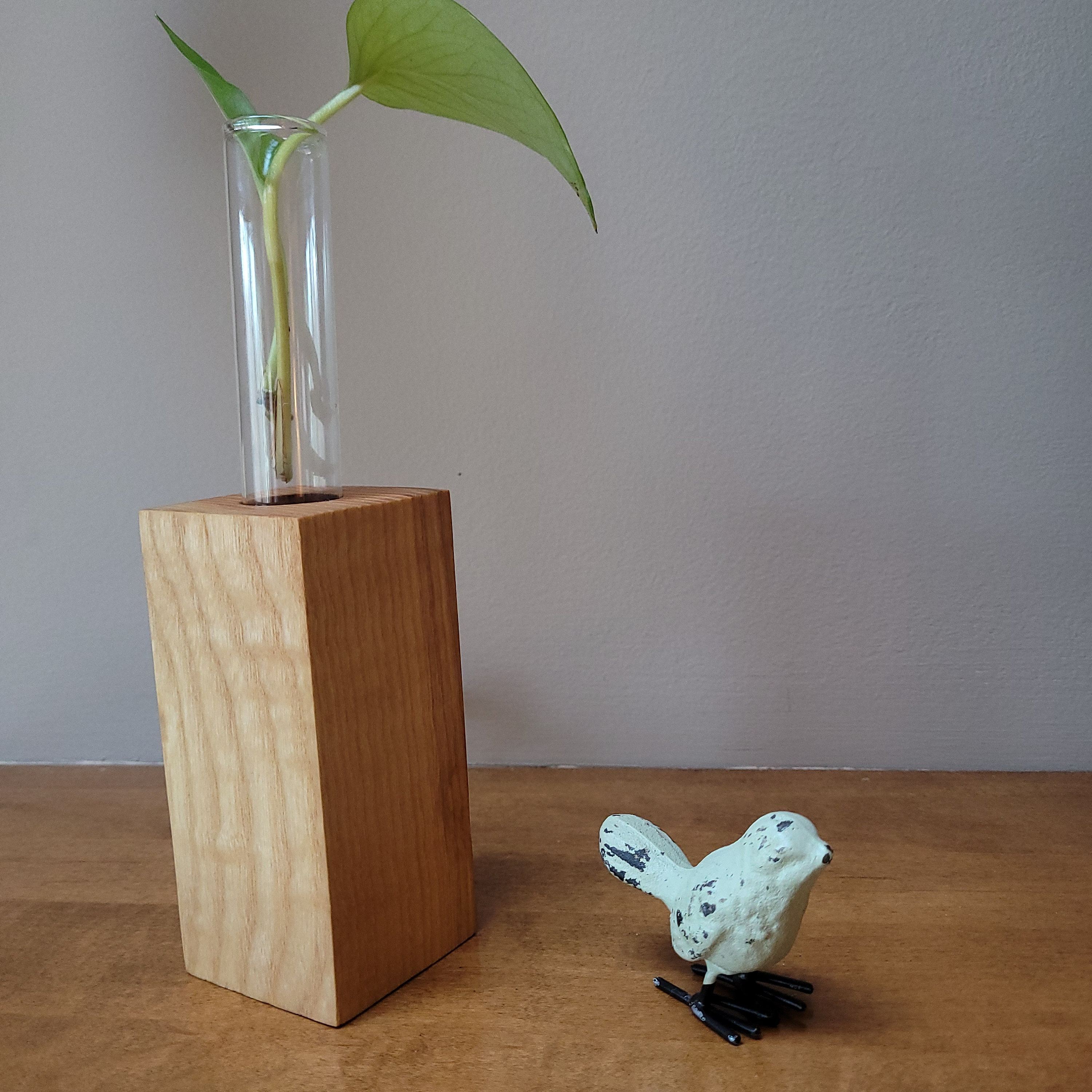 Set of Light Ash Wood Cubes Wit Tubes Plant Starter Propagation Station ...