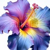 Iris | Set of 10 | Clipart Bundle | 300 DPI Jpegs | 300 DPI Transparent ...