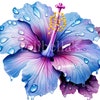 Hibiscus Flower | Set of 10 | Clipart Bundle | 300 DPI Jpegs | 300 DPI ...
