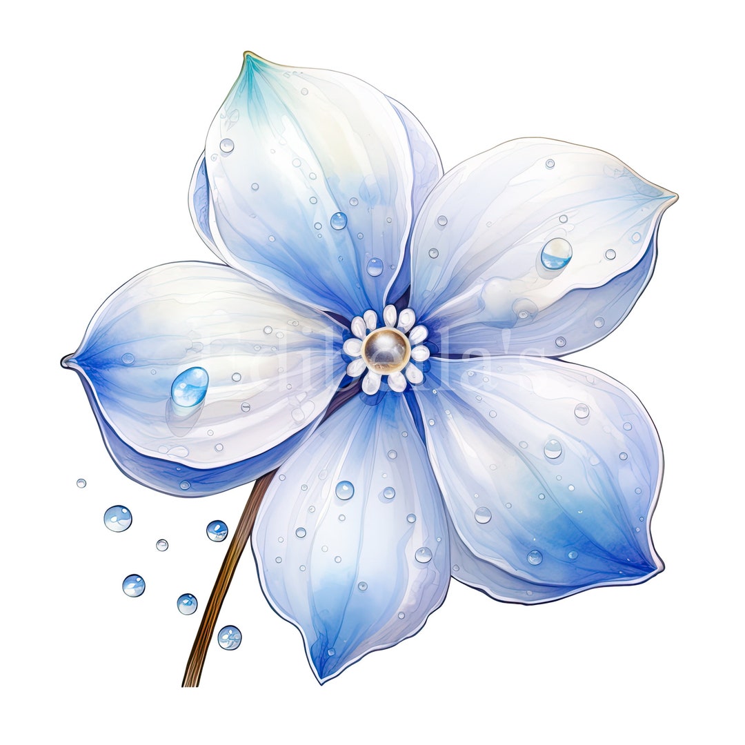 Periwinkle | Set of 10 | Clipart Bundle | 300 DPI Jpegs | 300 DPI ...