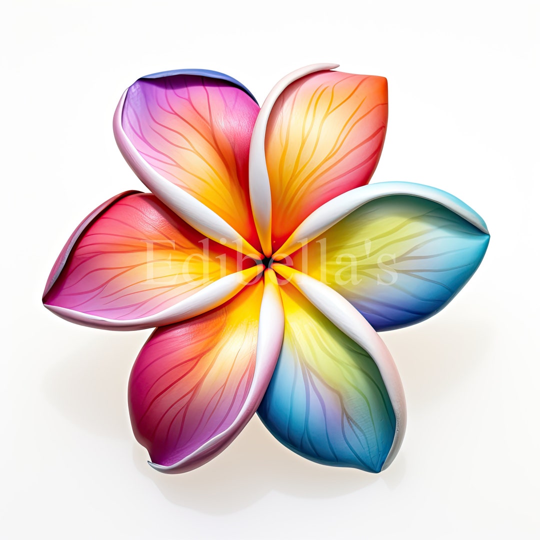 Plumeria Flower Set of 10 Clipart Bundle 300 DPI Jpegs 300 DPI ...