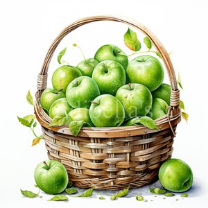 Apple | Set of 10 | Clipart Bundle | 300 DPI Jpegs and Transparent Pngs ...