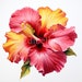 Hibiscus Flower | Set of 10 | Clipart Bundle | 300 DPI Jpegs | 300 DPI ...