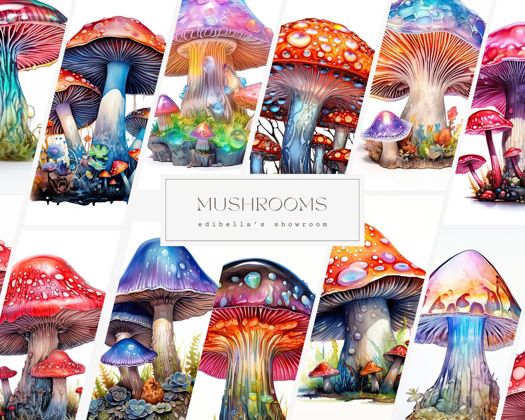 Mushroom | Set of 12 | Clipart Bundle | 300 DPI Jpegs | 300 DPI ...