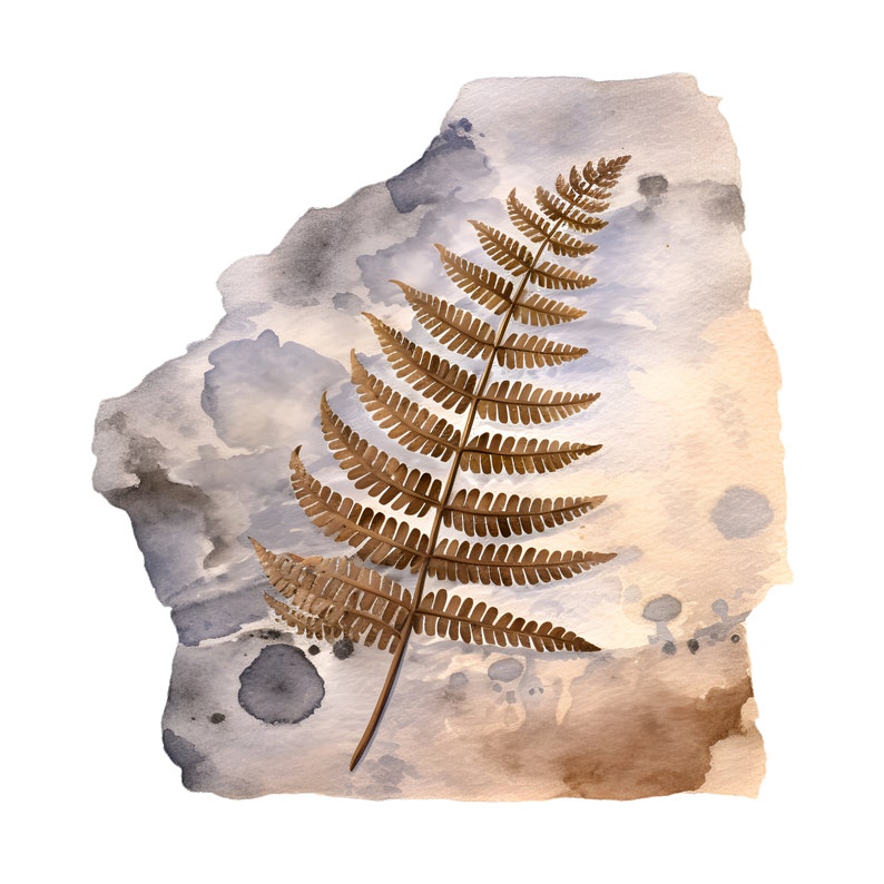 Trilobite and Plant Fossils Set of 10 Clipart Bundle - Etsy