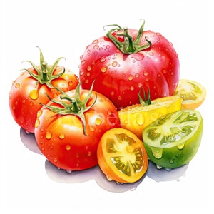 Tomato | Set of 10 | Clipart Bundle | 300 DPI Jpegs and 300 DPI ...