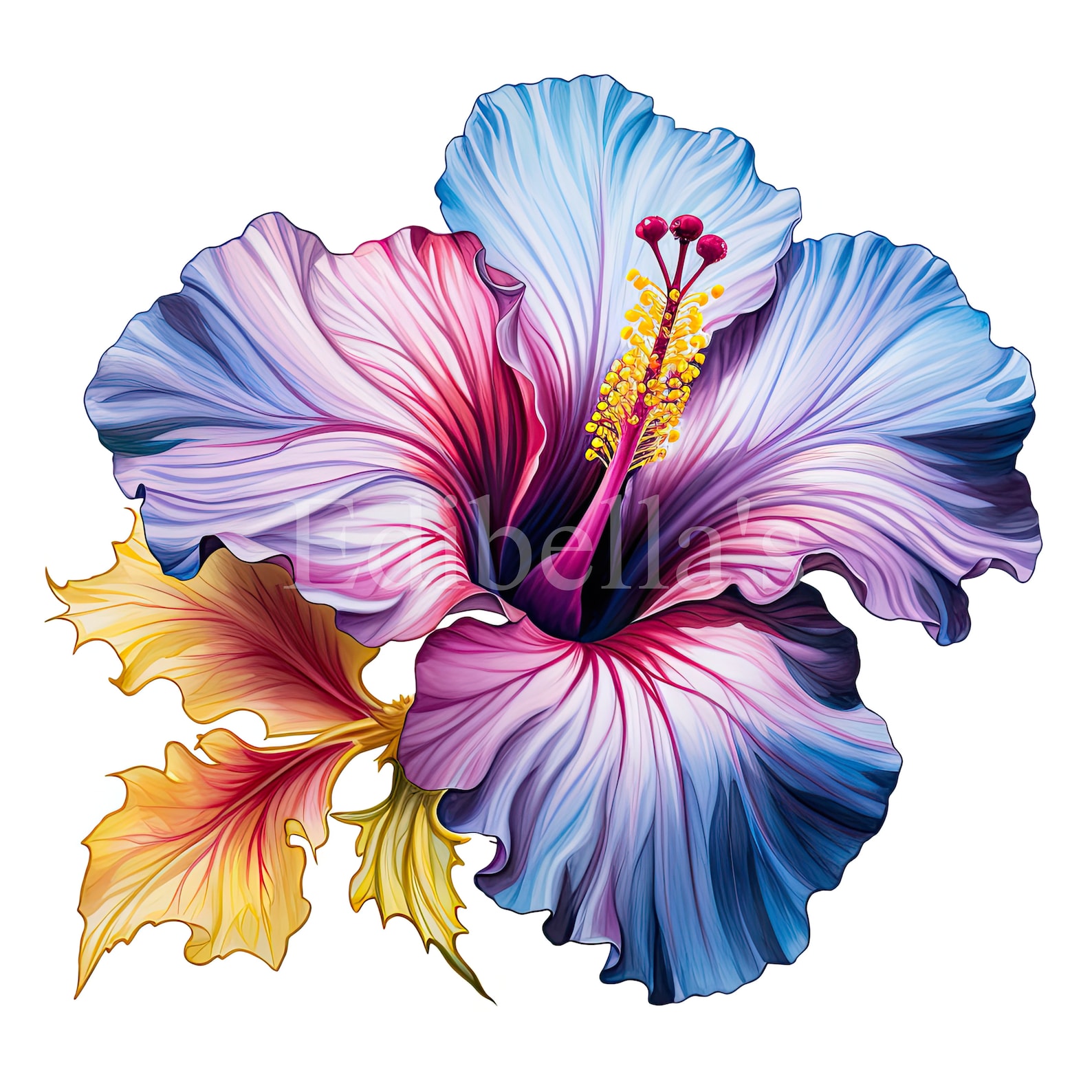 Hibiscus Flower Set of 10 Clipart Bundle 300 DPI Jpegs 300 DPI ...