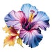 Hibiscus Flower | Set of 10 | Clipart Bundle | 300 DPI Jpegs | 300 DPI ...