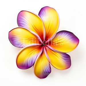 Plumeria Flower | Set of 10 | Clipart Bundle | 300 DPI Jpegs | 300 DPI ...