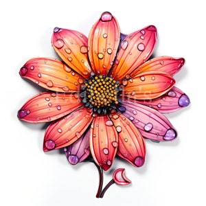 Daisy | Set of 10 | Clipart Bundle | 300 DPI Jpegs | 300 DPI ...