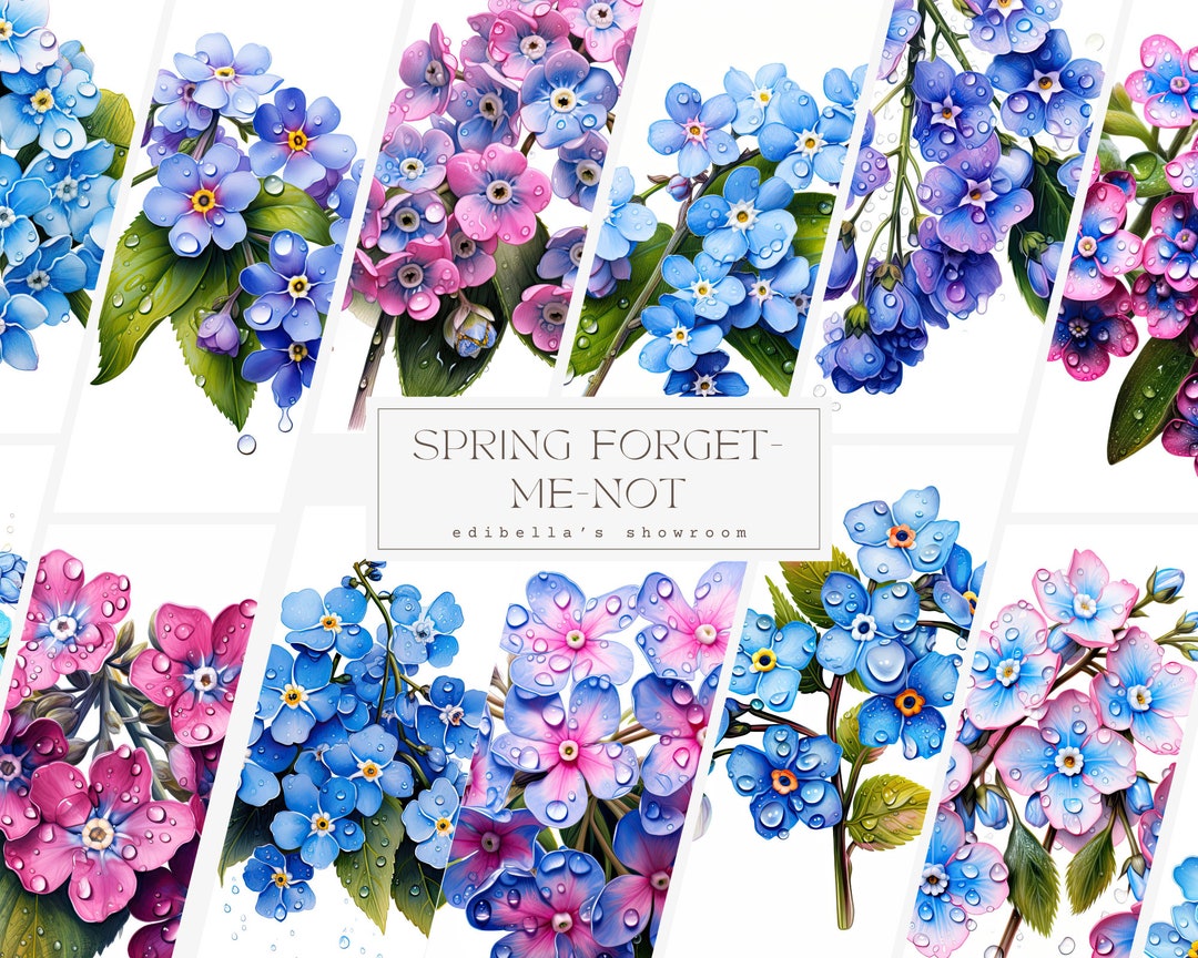 Spring Forget-me-not | Set of 12 | Clipart Bundle | 300 DPI Jpegs | 300 ...