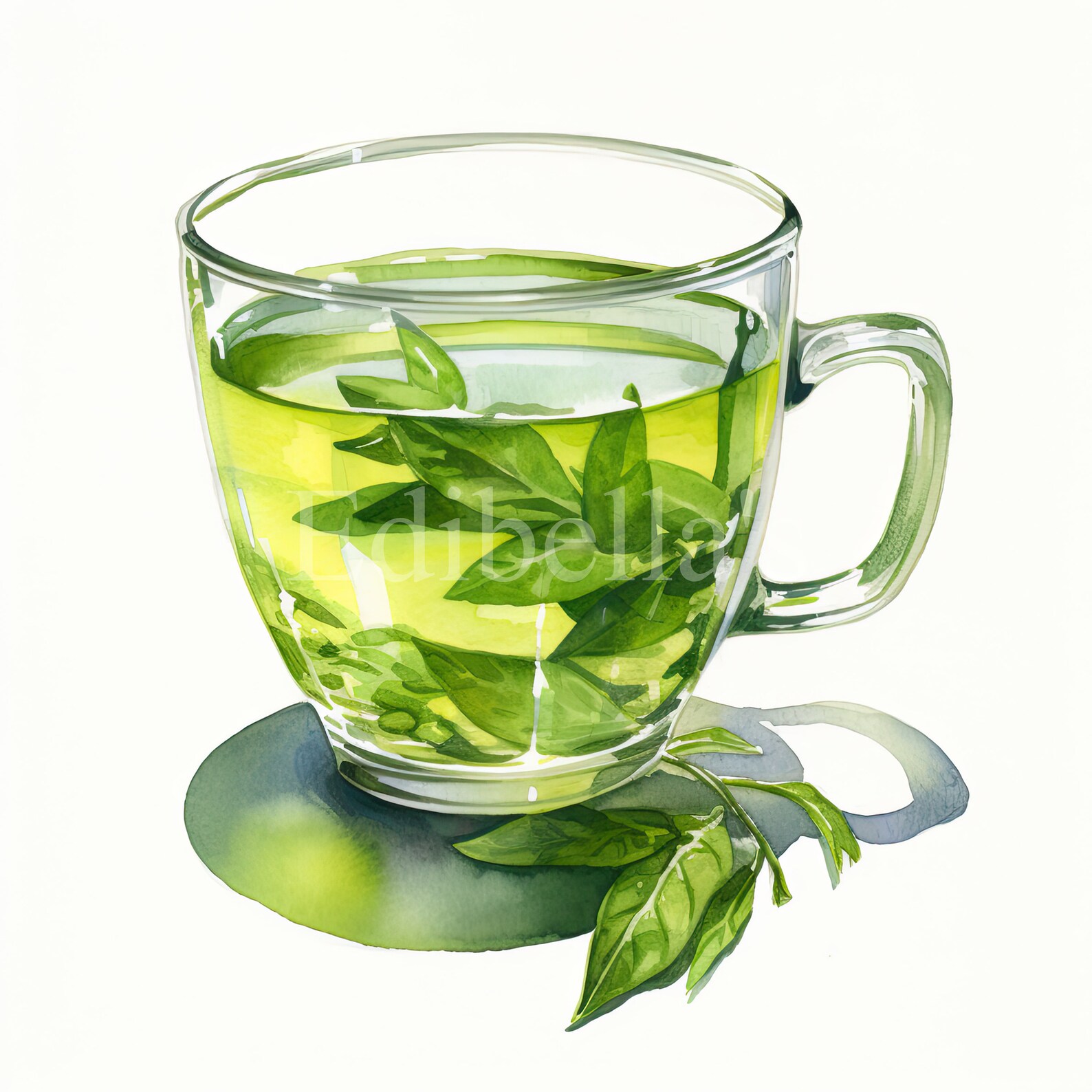 10 Types of Tea | Set of 10 | Clipart Bundle | High Quality 300 DPI ...