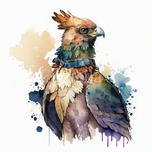 Griffin | Set of 10 | Clipart Bundle | High Quality Jpegs | 300 DPI ...