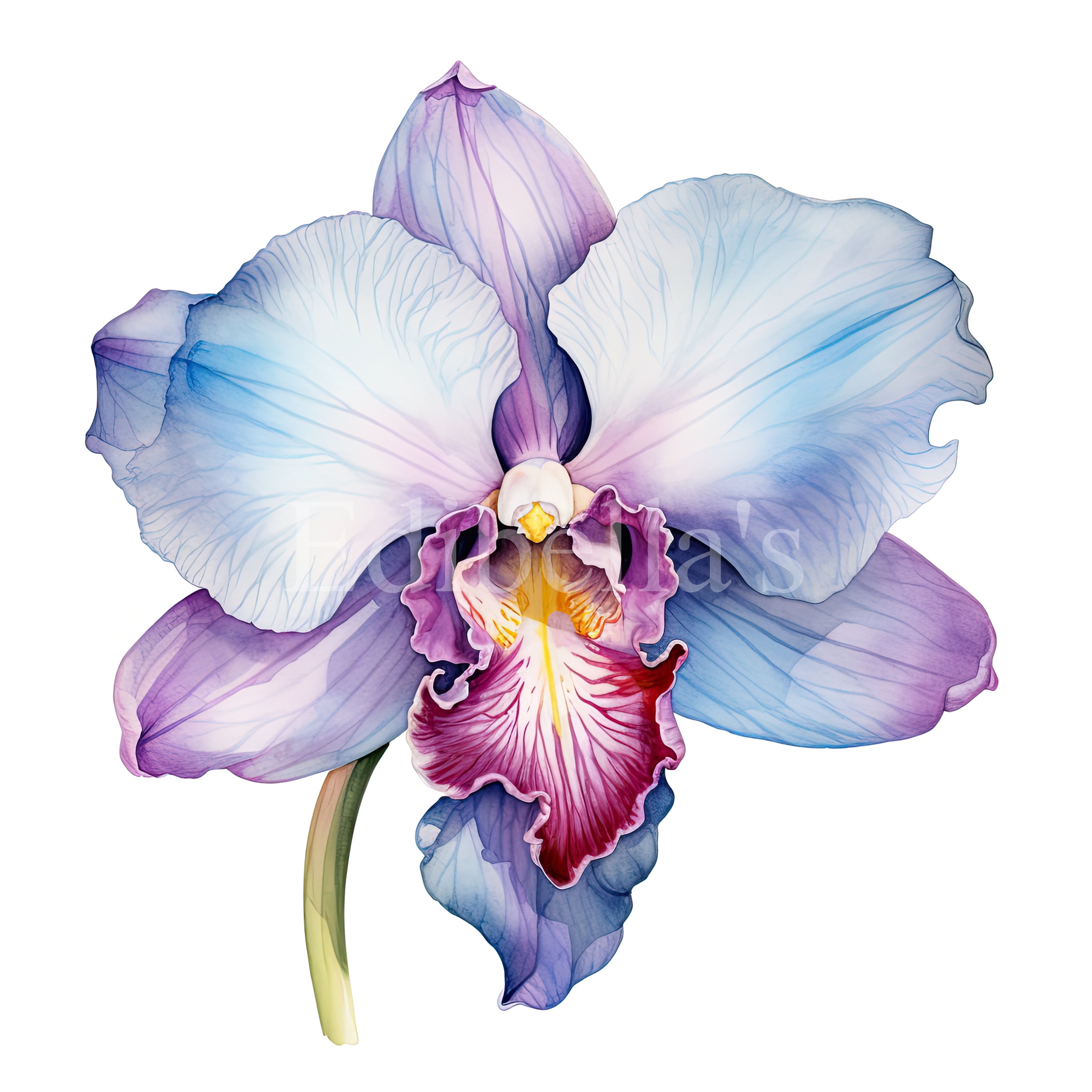 Orchid | Set of 10 | Clipart Bundle | 300 DPI Jpegs | 300 DPI ...
