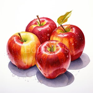 Apple | Set of 10 | Clipart Bundle | 300 DPI Jpegs and Transparent Pngs ...