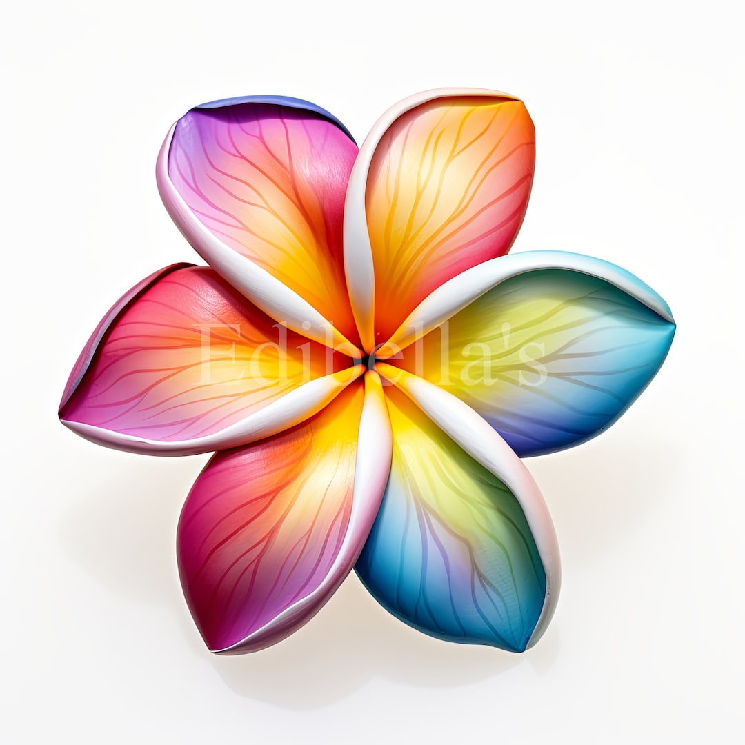 Plumeria Flower | Set of 10 | Clipart Bundle | 300 DPI Jpegs | 300 DPI ...