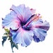 Hibiscus Flower | Set of 10 | Clipart Bundle | 300 DPI Jpegs | 300 DPI ...