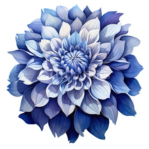 Dahlia | Set of 10 | Clipart Bundle | 300 DPI Jpegs | 300 DPI ...