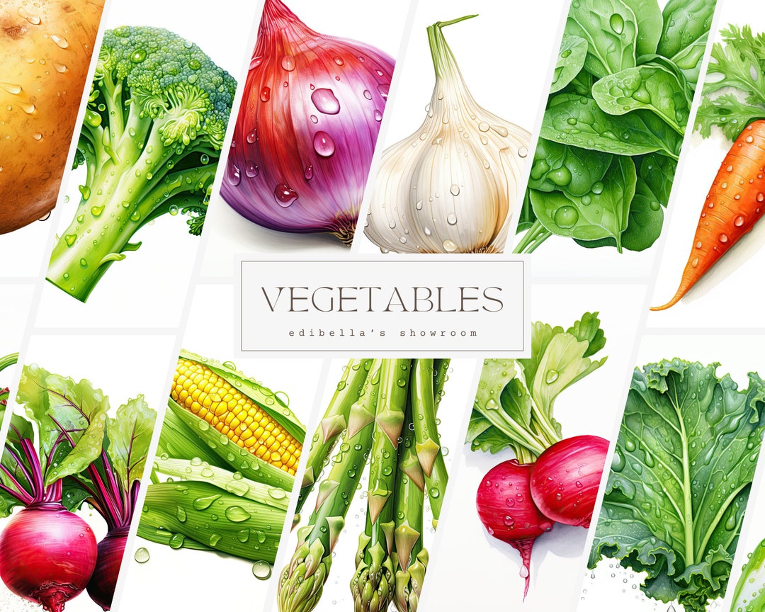 Fresh Vegetables | Set of 12 | Clipart Bundle | 300 DPI Jpegs | 300 DPI ...