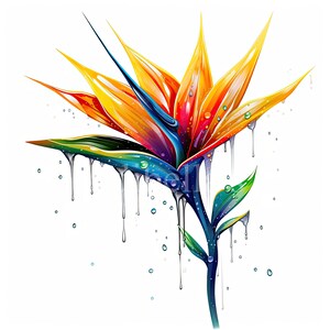 Bird of Paradise Flower | Set of 10 | Clipart Bundle | 300 DPI Jpegs ...