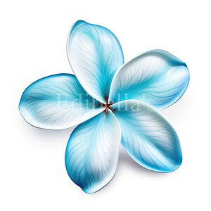 Plumeria Flower | Set of 10 | Clipart Bundle | 300 DPI Jpegs | 300 DPI ...