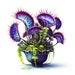 Venus Flytrap | Set of 10 | Clipart Bundle | 300 Dpi High Quality Jpegs ...