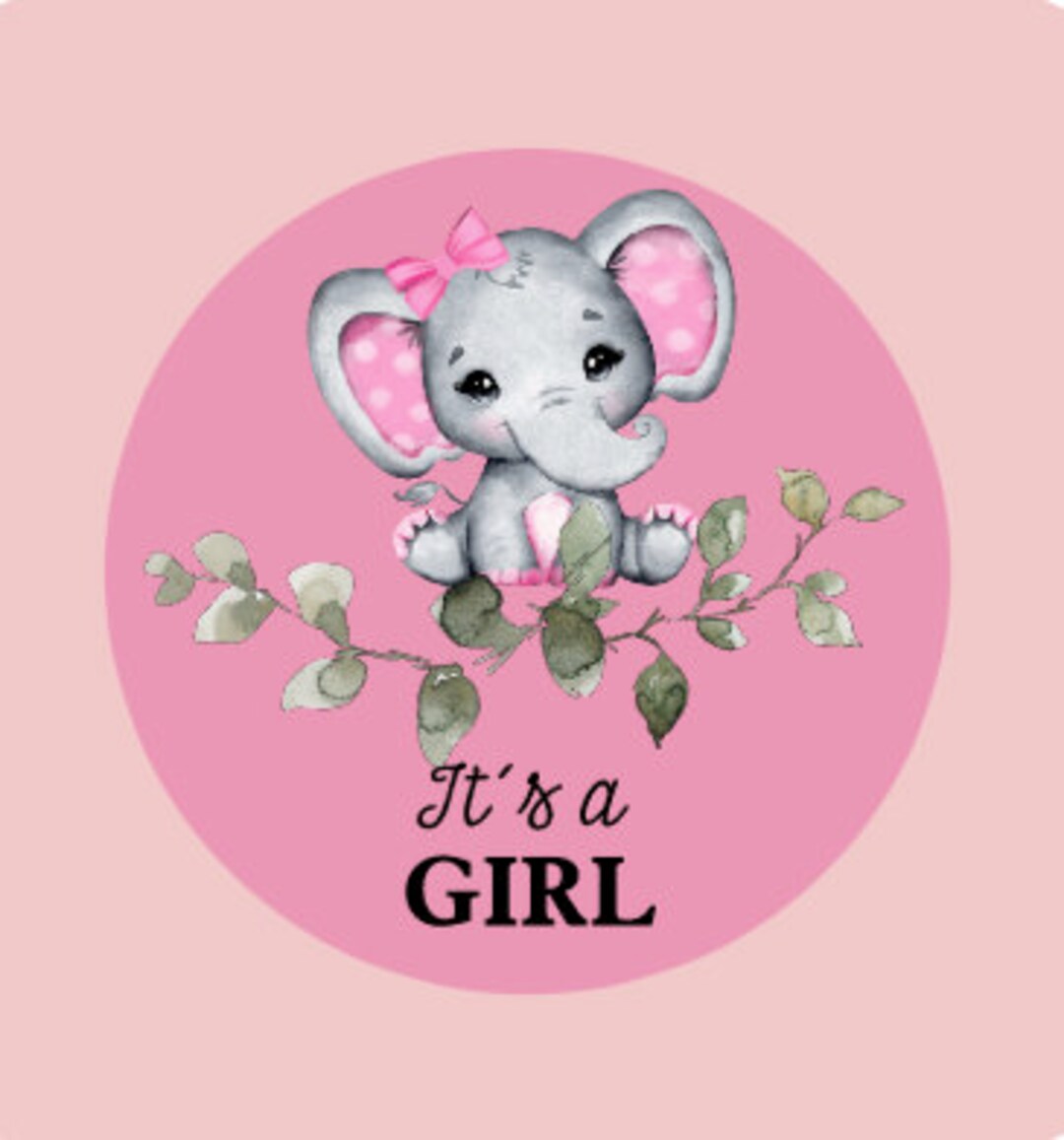 Girl Baby Shower Stickers,baby Shower Favor,custom Labels, Personalized ...