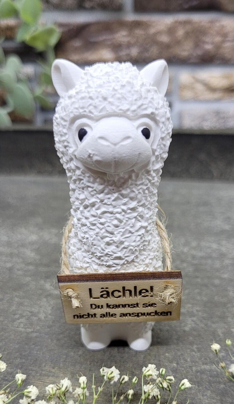 Alpaca / Lama With Wooden Sign, Saying Sign, Raysin, Souvenir, Gift ...
