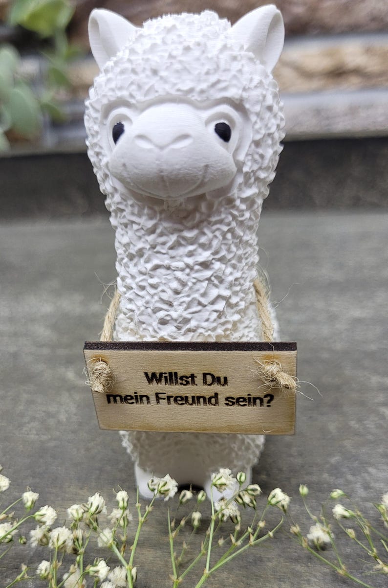 Alpaka / Lama Mit Holzschild, Spruchschild, Raysin, Mitbringsel ...