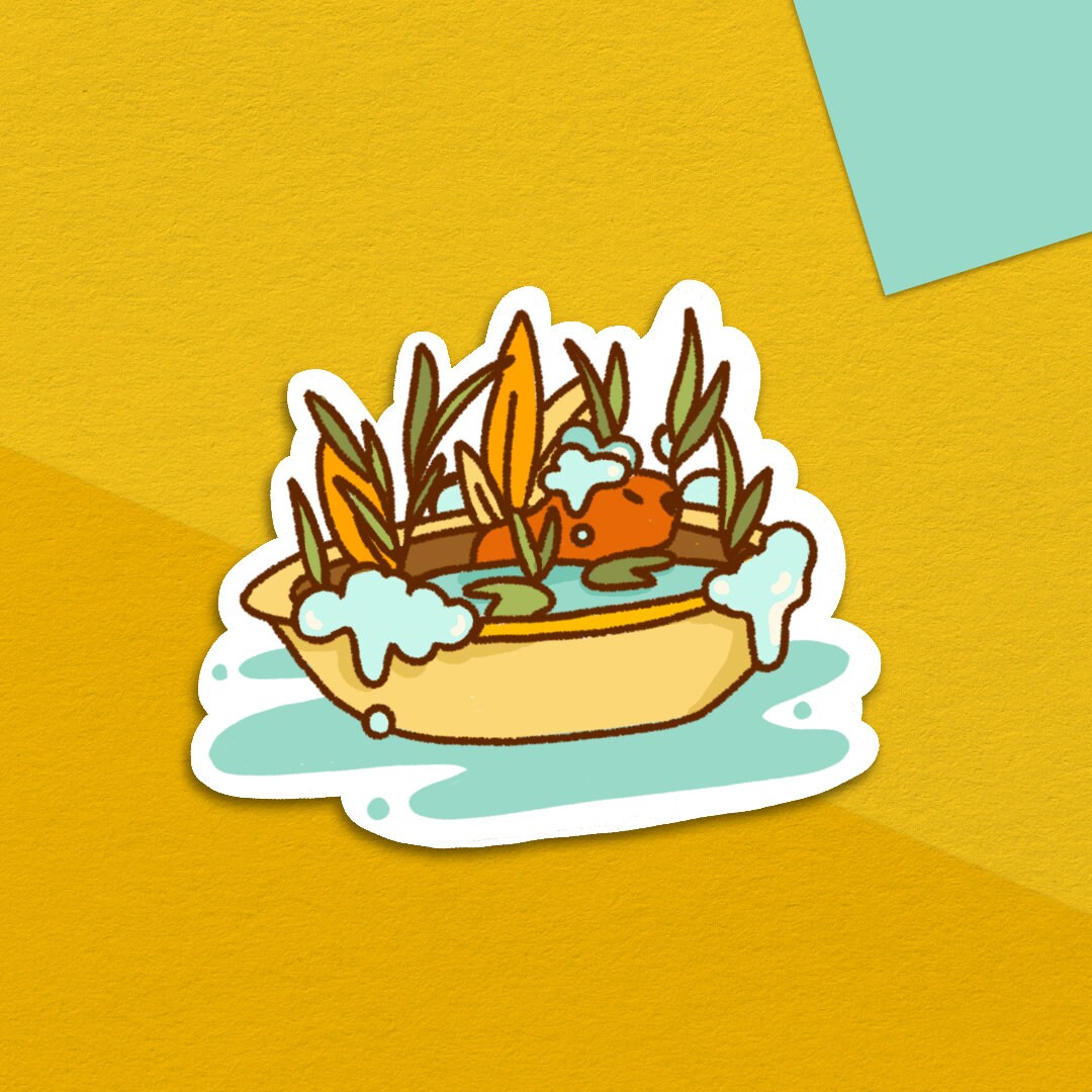 BARA Adventures Capybara Stickers Set of 2 Waterproof Glossy Animal ...