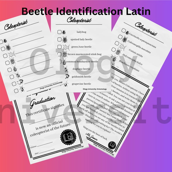 Montessori Beetle - Etsy