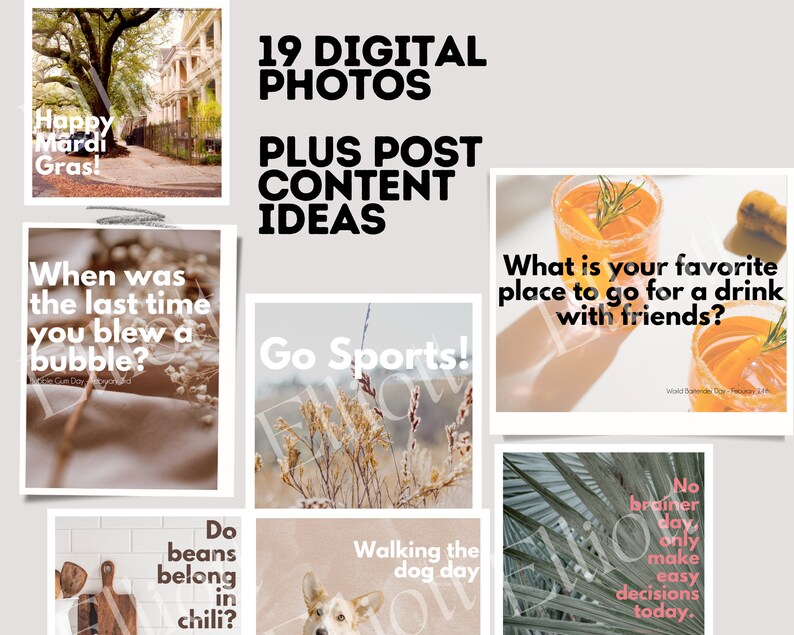 Aesthetic February Social Media Posts | Holiday Pack | Aesthetic Photos ...