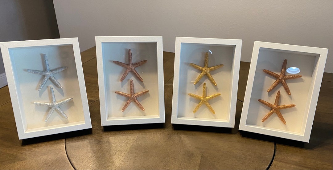 Set of 4 Shadow Boxes Starfish/shells/beach - Etsy