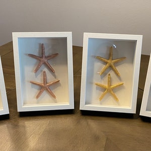 Set of 4 Shadow Boxes Starfish/shells/beach - Etsy