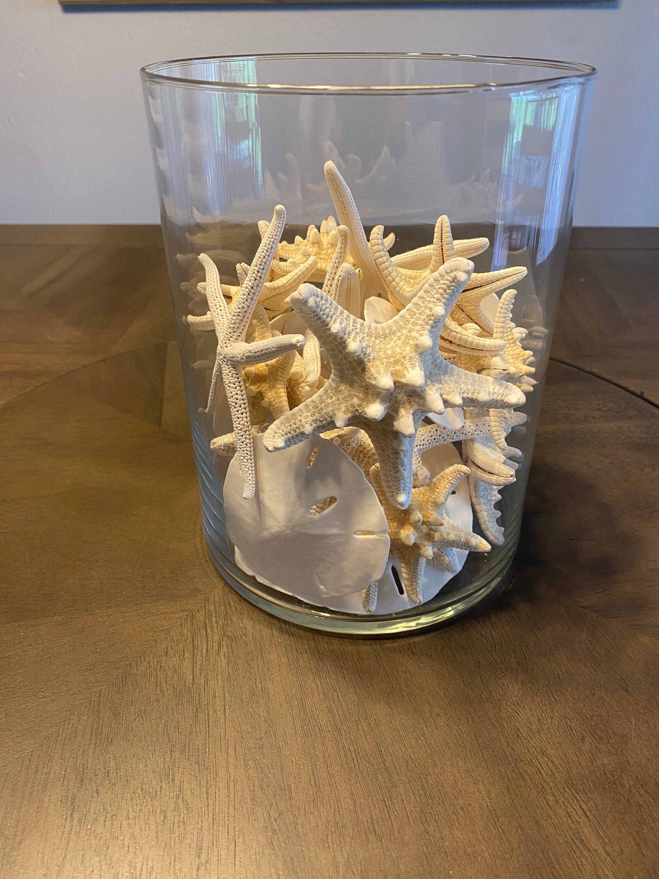 Glass Cylinder Vase With Natural Shells - Etsy