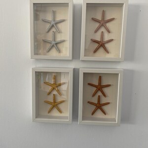 Set of 4 Shadow Boxes Starfish/shells/beach - Etsy