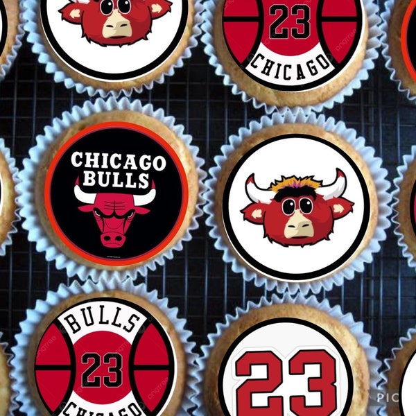 Bulls - Etsy