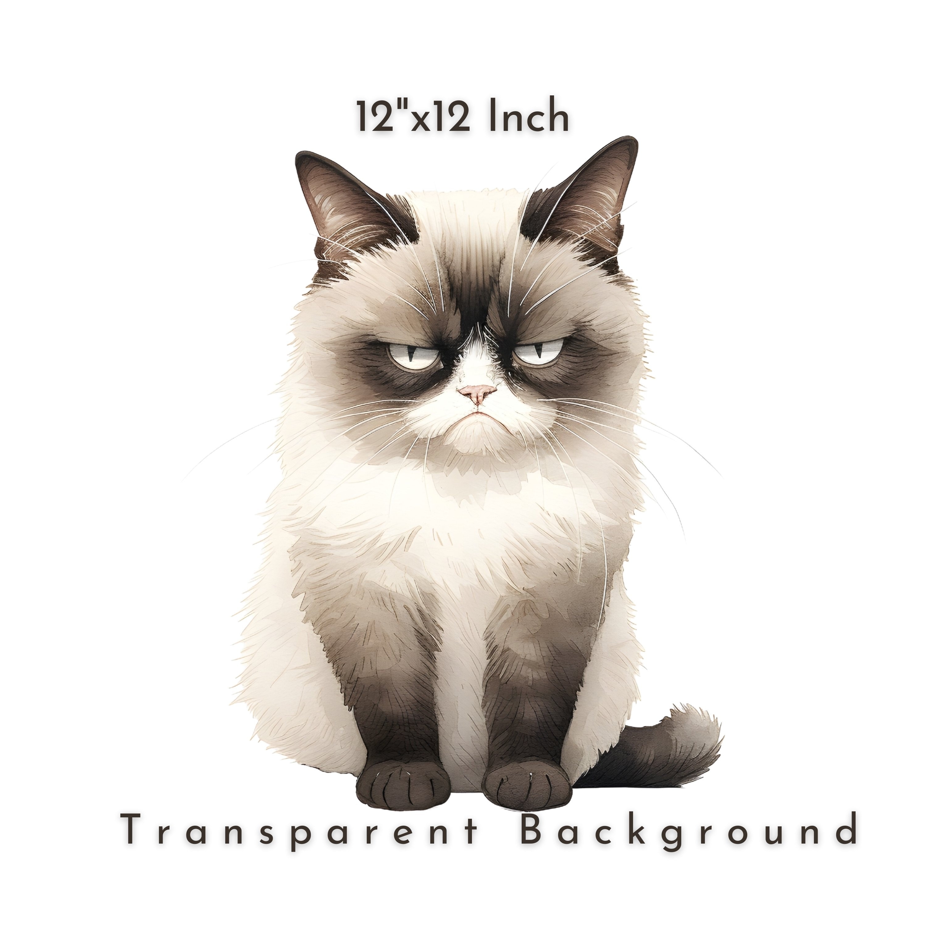 Grumpy Cat Clipart, 21 High Quality Grumpy Cat PNG, Pet Lovers Clipart ...