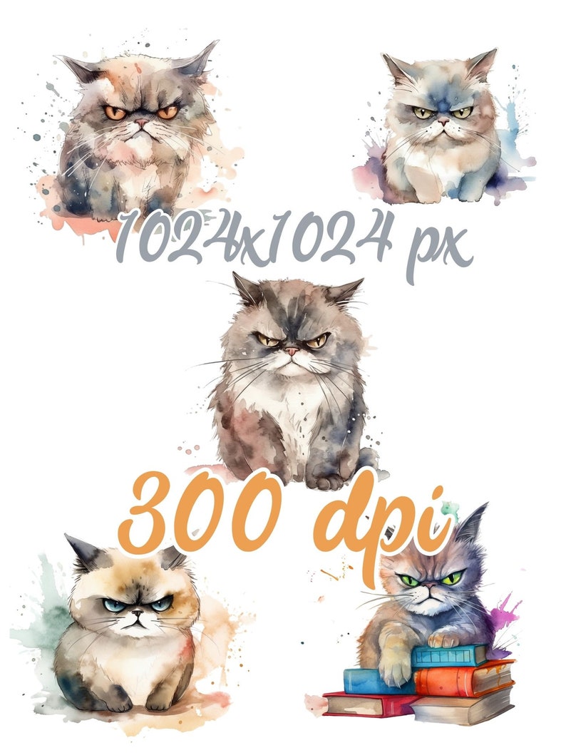15 Watercolor Angry Cat Clipart, Grumpy Cat, Cool Cats, Instant ...