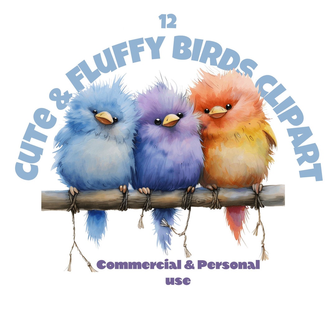 Cute and Fluffy Birds Clipart, 12 High Quality Cute Birds on Branch ...