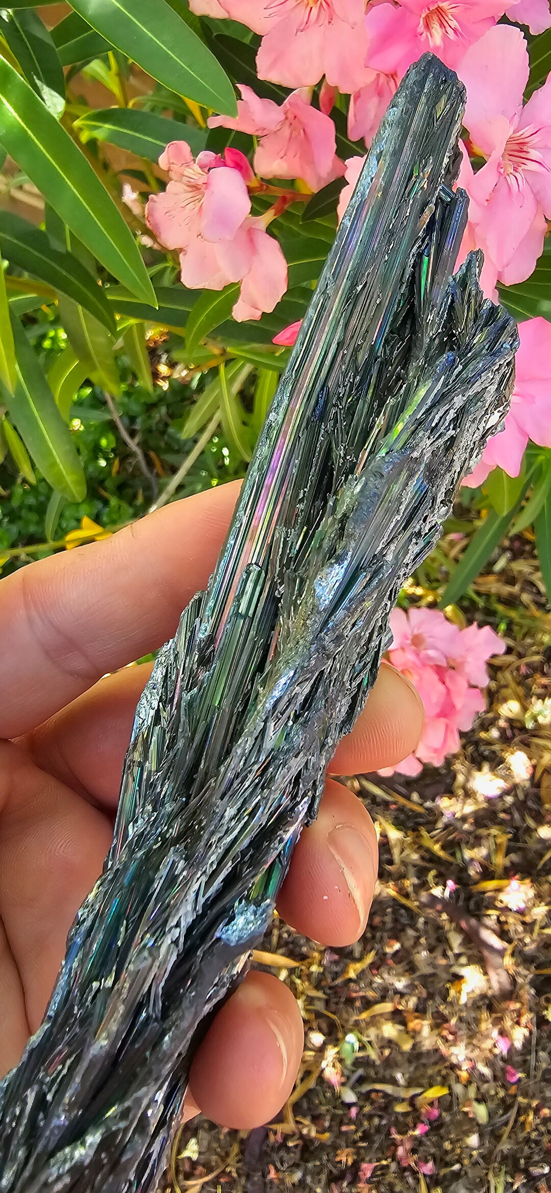 Rainbow Iridescent Stibnite Wand Extremely Rare Long Striations ...
