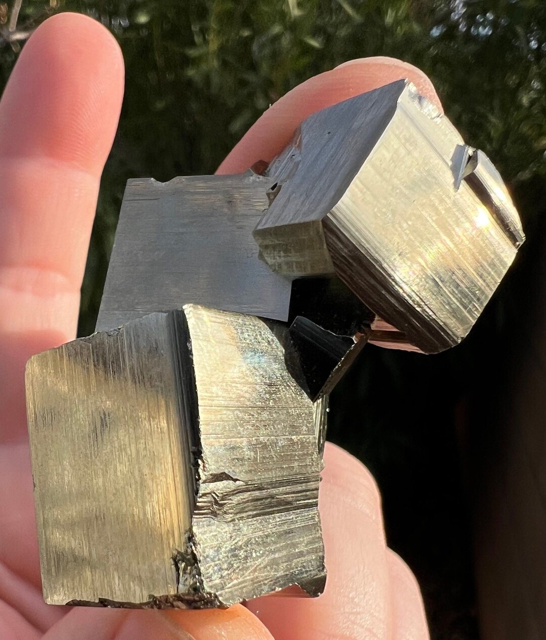 Cubed Pyrite Quadruple Stacked Cluster High Quality Pyrite Natural ...